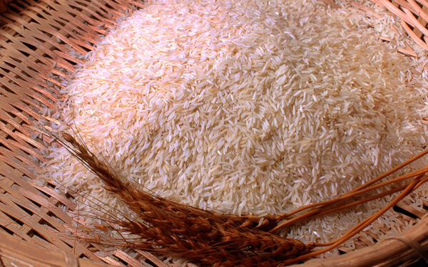 Home - Aman Rice Mills - Pakistan